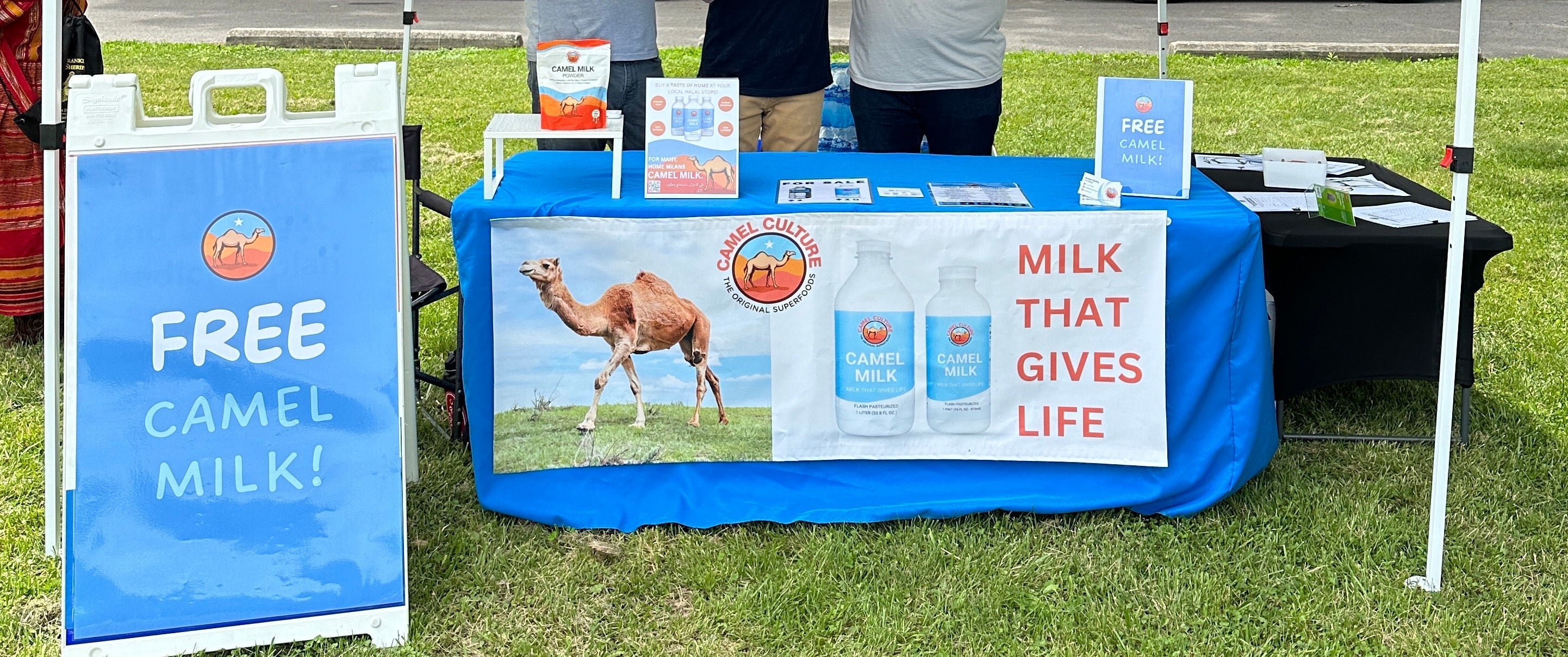 Is Our Camel Milk Real? Experts Weigh In. | Blog – Camel Culture
