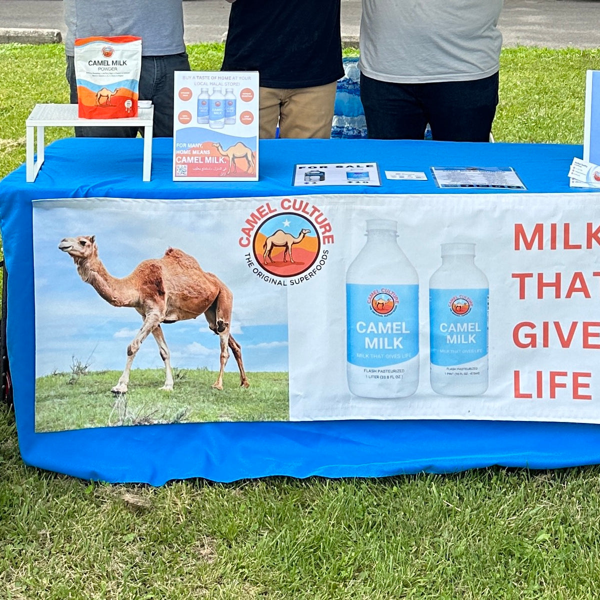 Is Our Camel Milk Real? Experts Weigh In. | Blog – Camel Culture