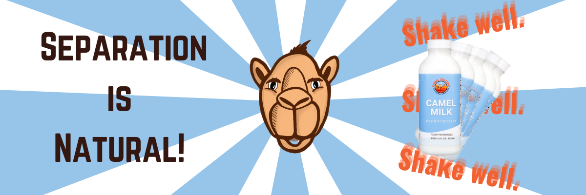 3 Reasons We Don't Homogenize Our Camel Milk – Camel Culture