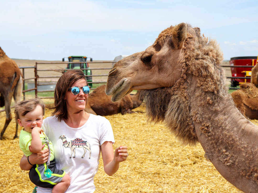 Our Story | Camel Culture