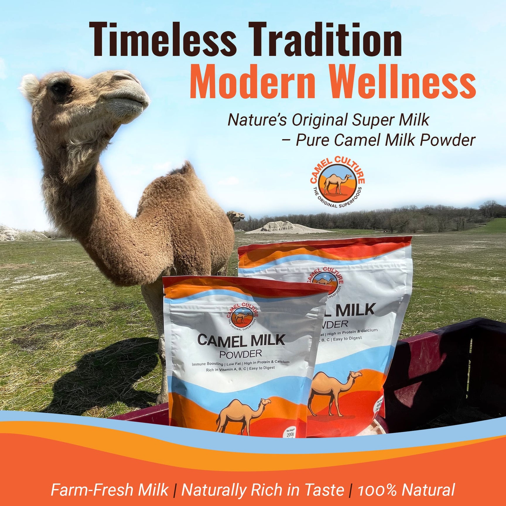 Buy Camel Milk Powder – 200g, 400g, & Sachets | 100% Pure & Natural ...